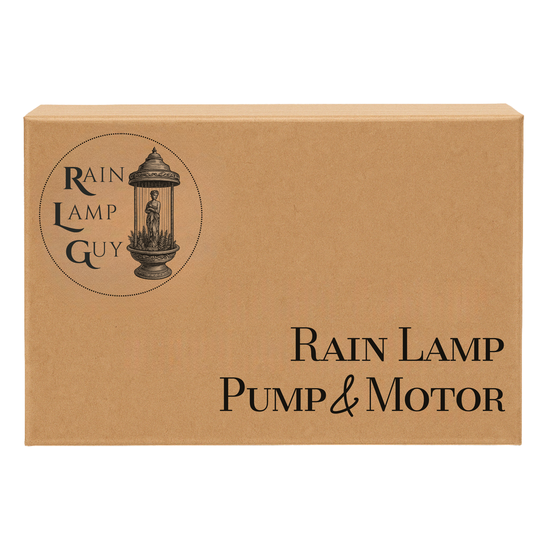 Oil Rain Lamp Pump Replacement Kit - New Pump & Motor For Vintage Oil ...